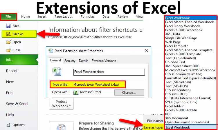 Estensioni Di Excel Tipi Di Formati Di File XLS XLSX XLSM XLSB 